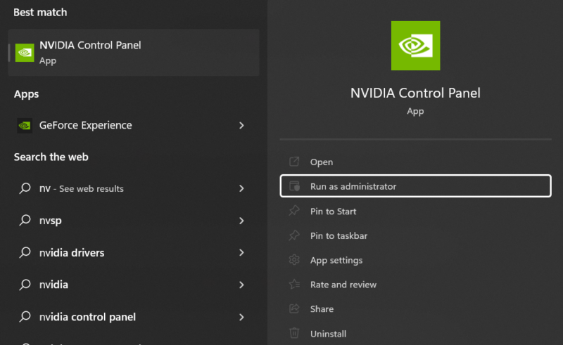 Behebung des NVIDIA Control Panel Verschwindens - Rene.E Laboratory