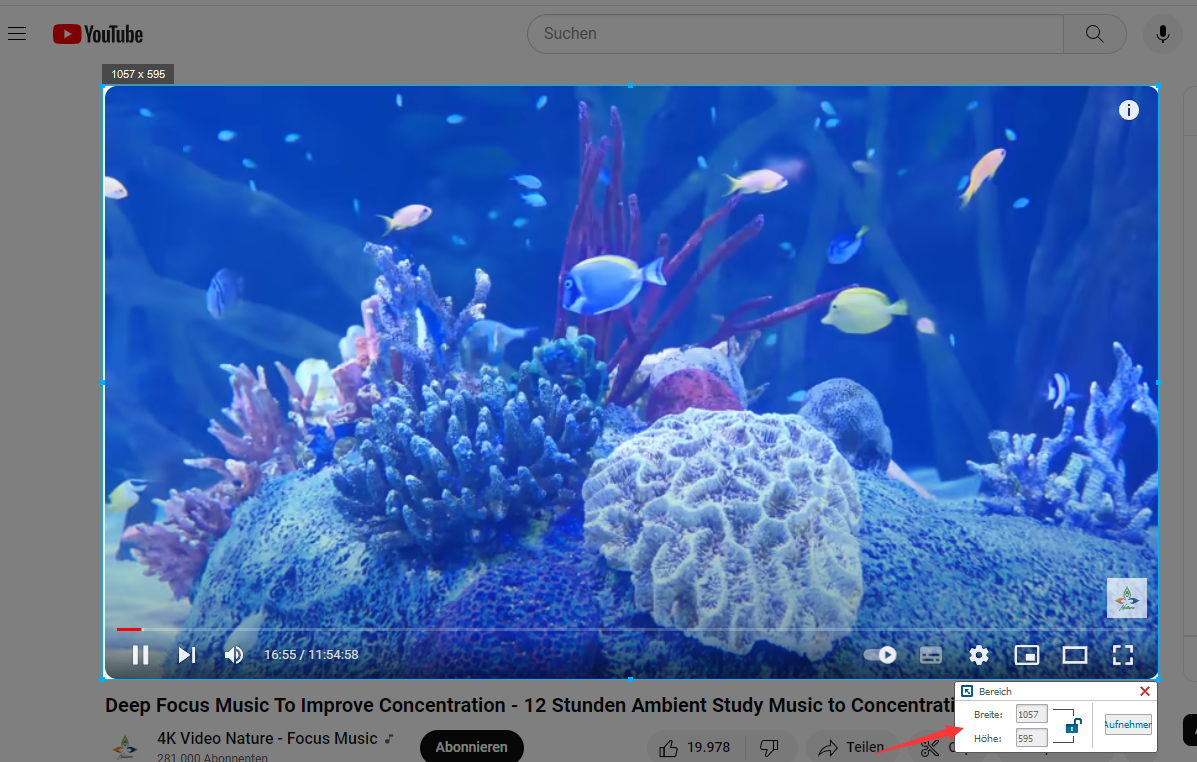 Wie kann man ein YouTube-Video in einer Schleife abspielen? - Rene.E ...